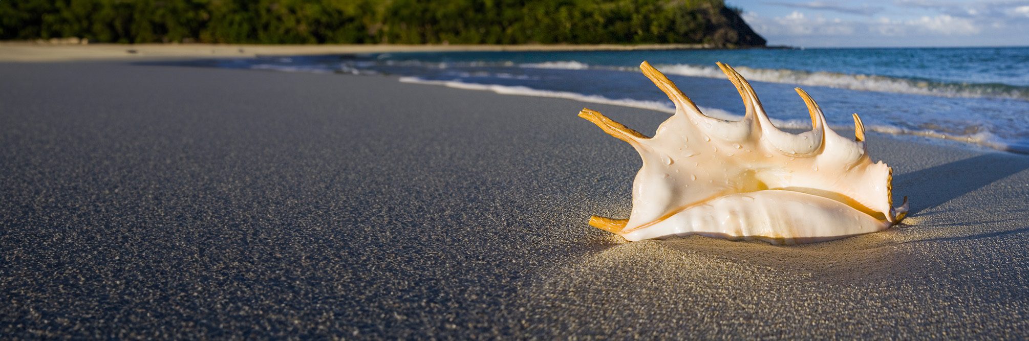 Spiritually Speaking - Brahma Kumaris United Nations Office